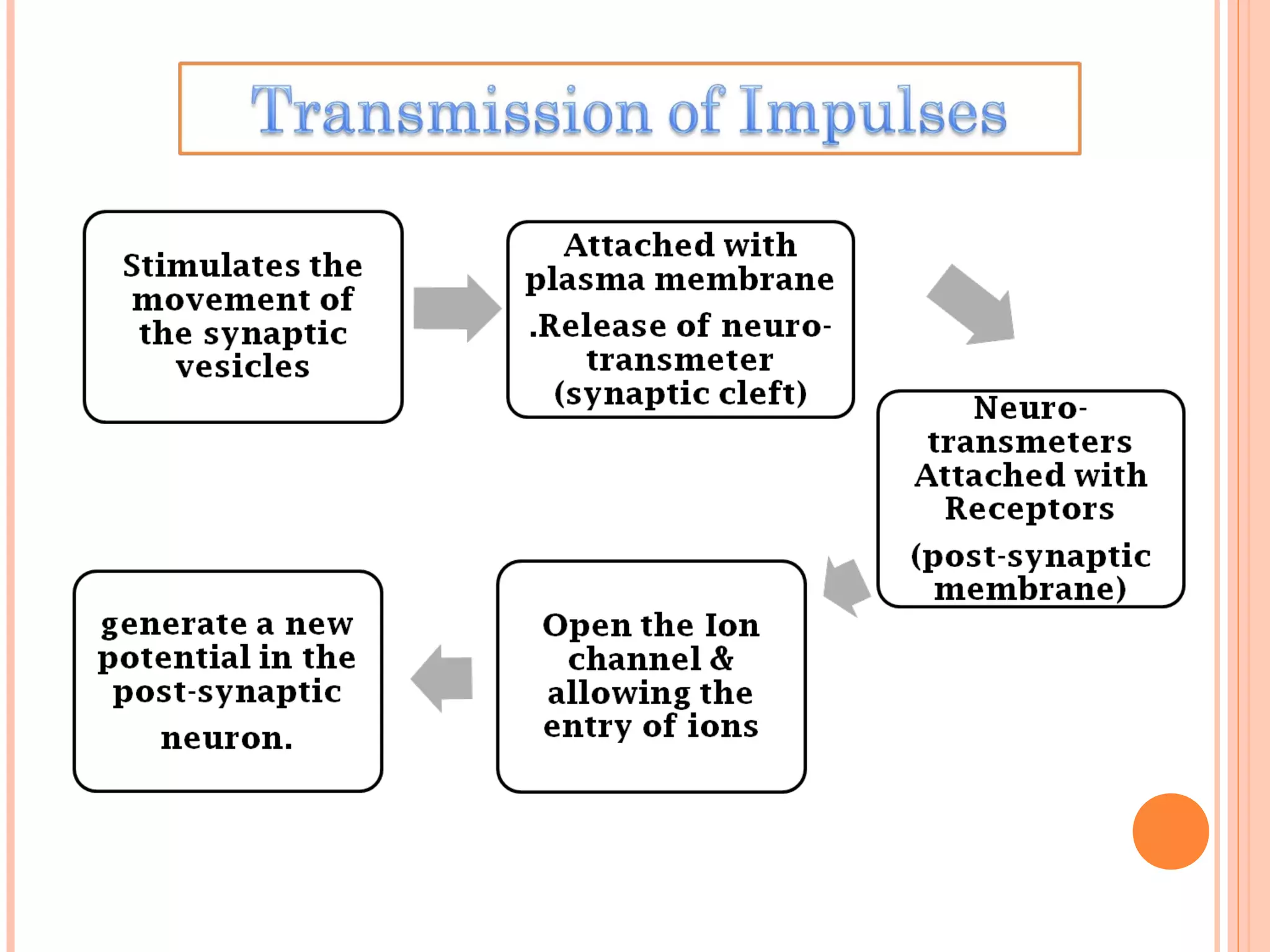 conduction of nerve impulse & synaps | PPT