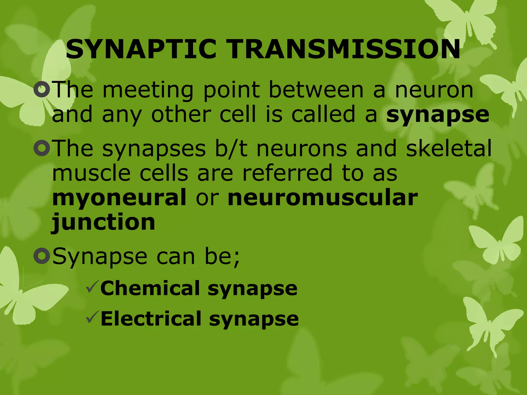 NERVOUS SYSTEM ANATOMY | PPTX