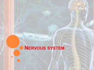 Nervous system | PPT