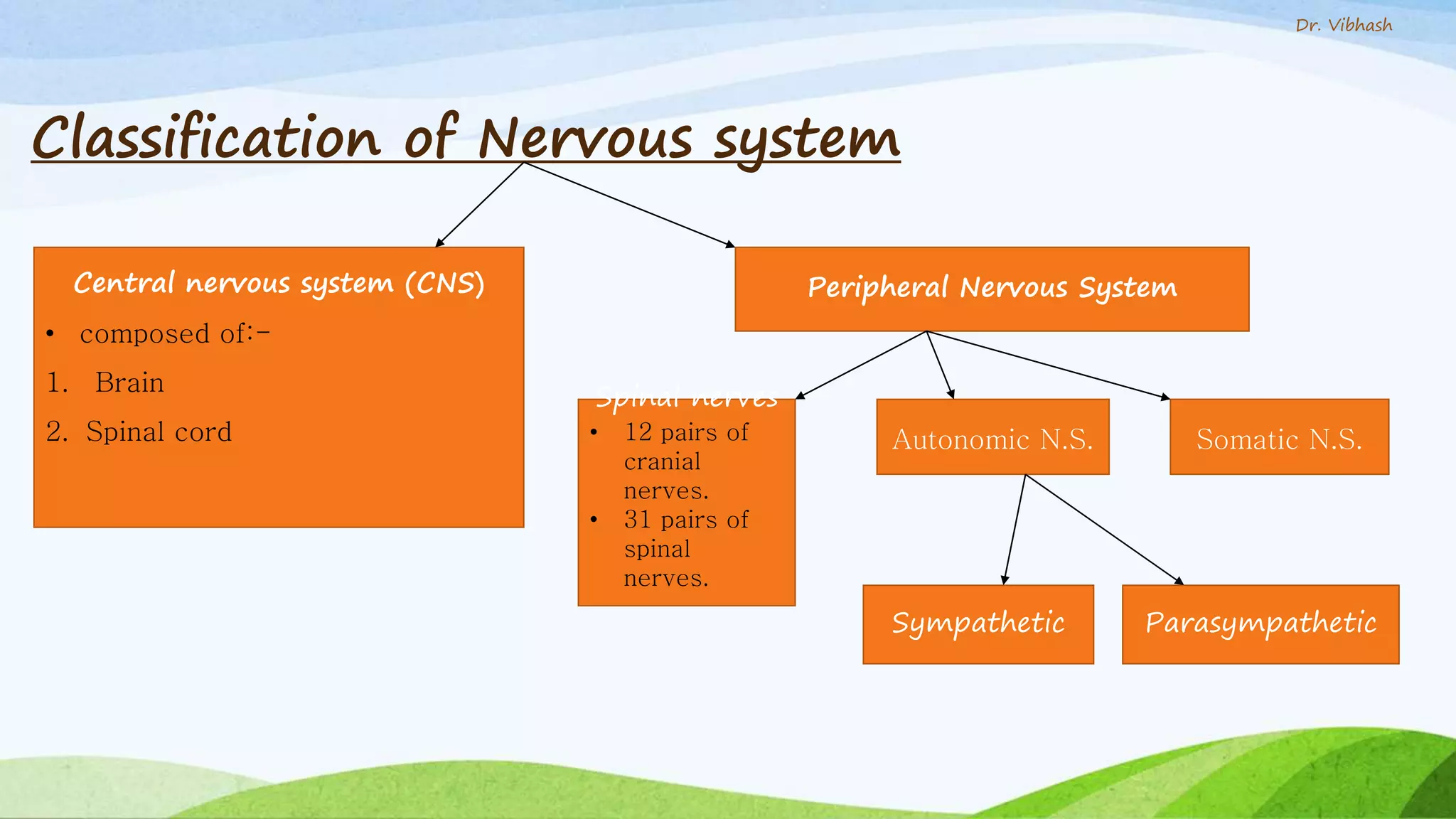 Nervous system | PPT