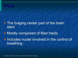 The Nervous system | PPT