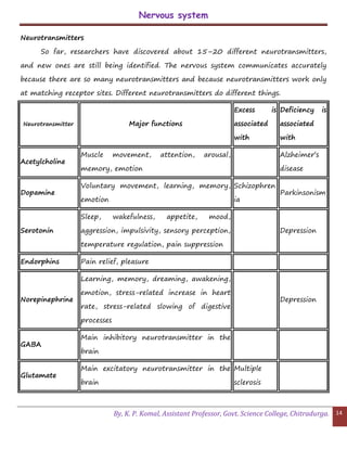 Nervous system | PDF