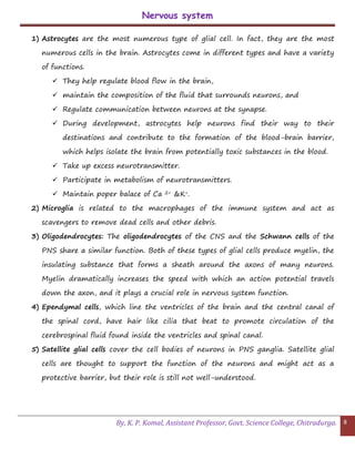 Nervous system | PDF