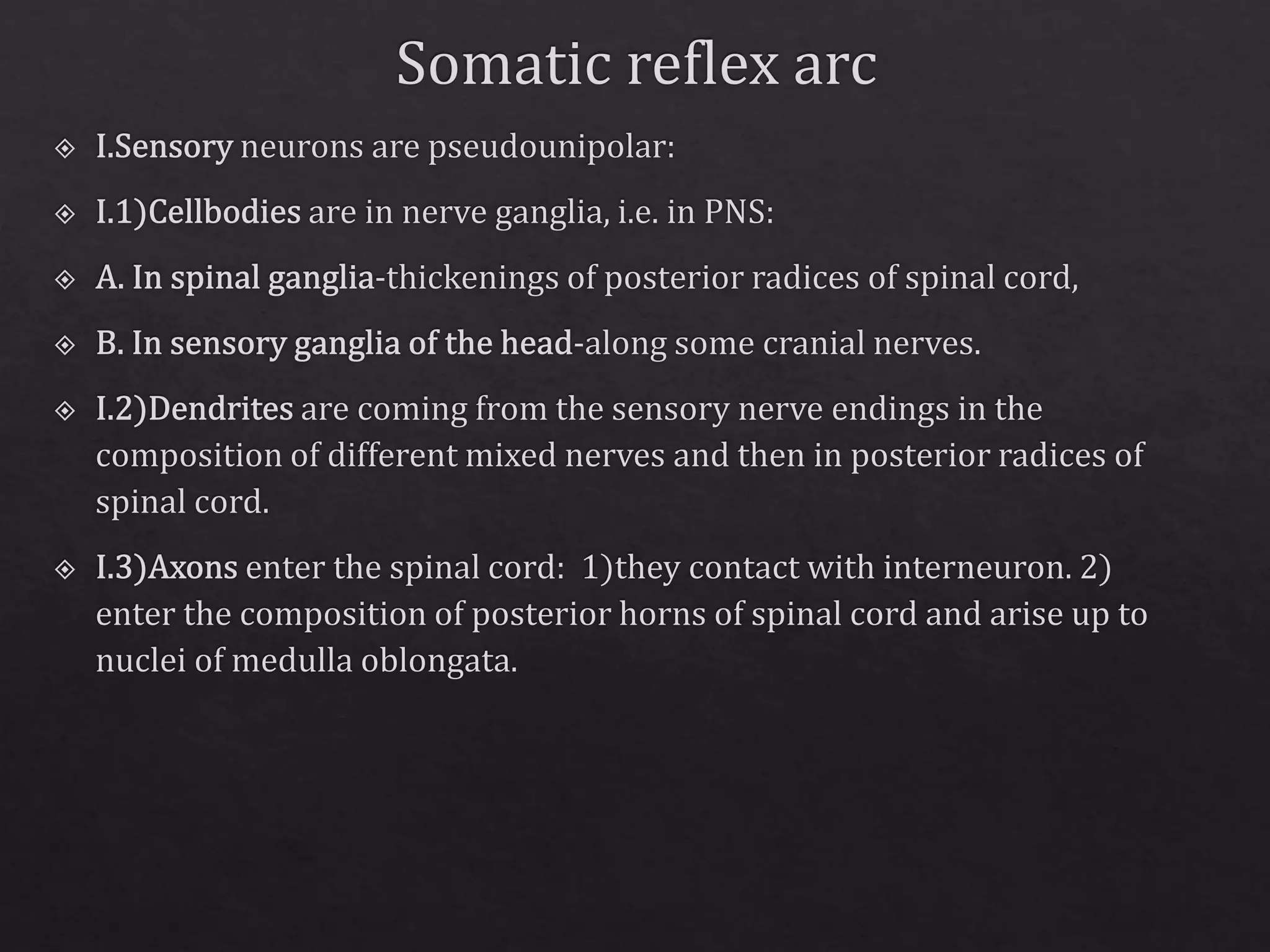 Nervous system | PPTX