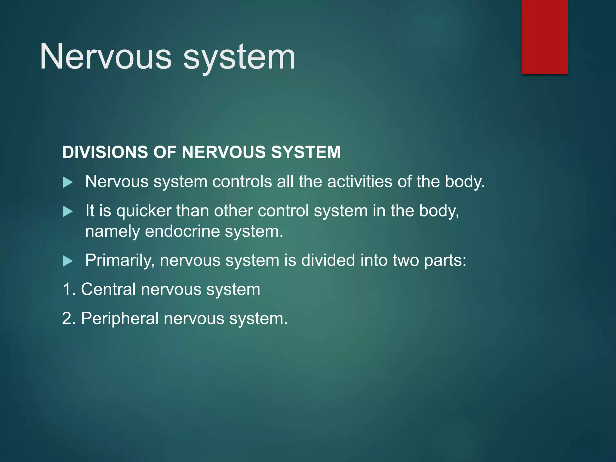 Nervous system central nervous system peripheral nervous system | PPT
