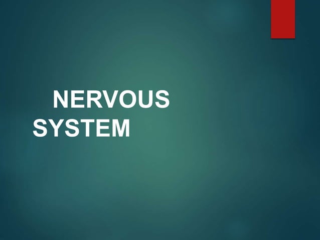 Nervous system central nervous system peripheral nervous system | PPT