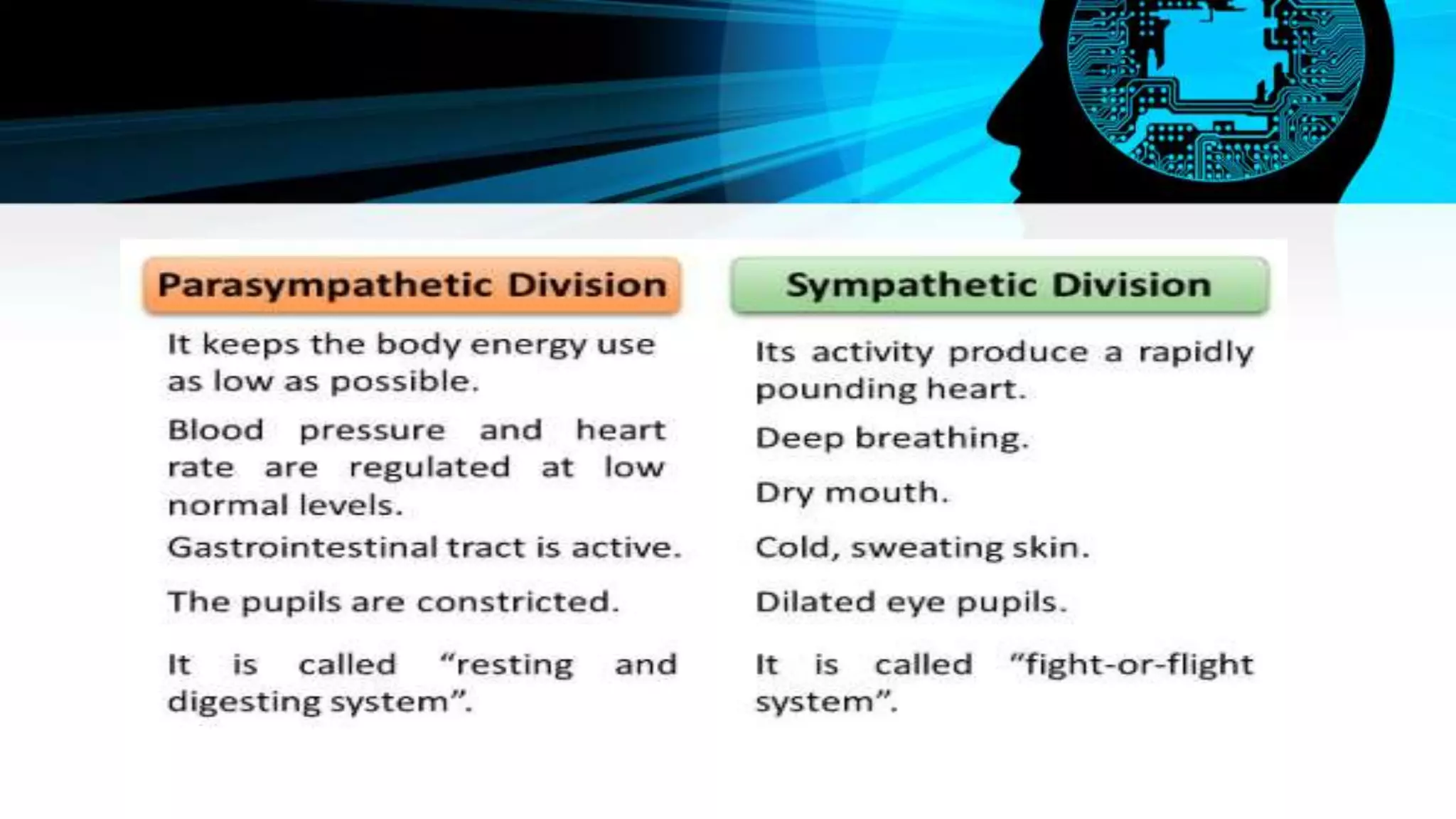 Nervous system- SYMPATHETIC and PARASYMPATHETIC | PPTX