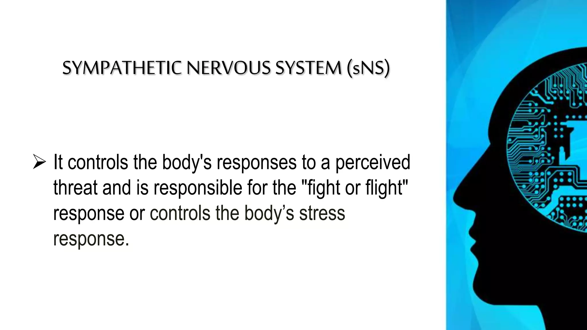 Nervous system- SYMPATHETIC and PARASYMPATHETIC | PPTX