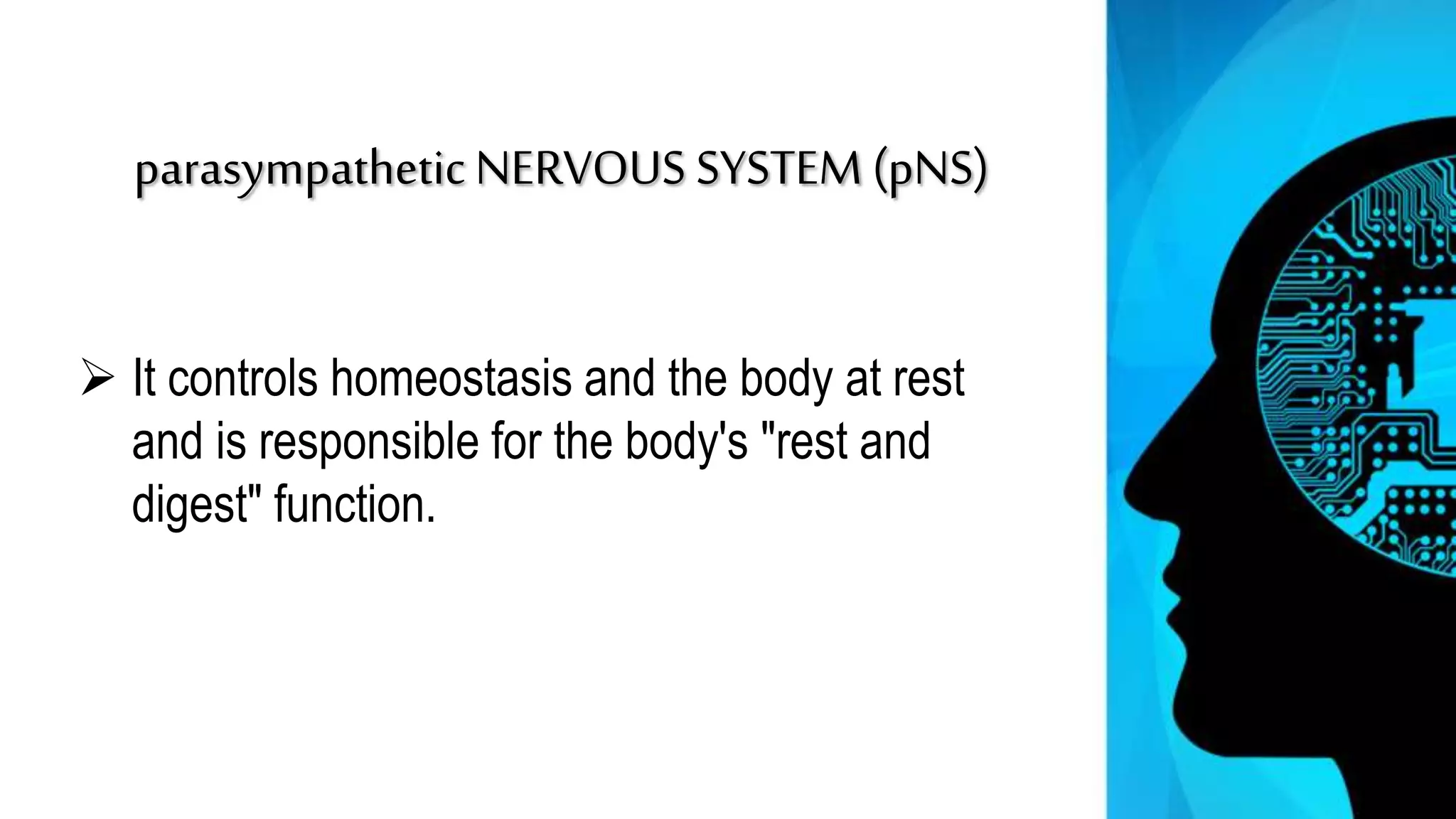 Nervous system- SYMPATHETIC and PARASYMPATHETIC | PPTX