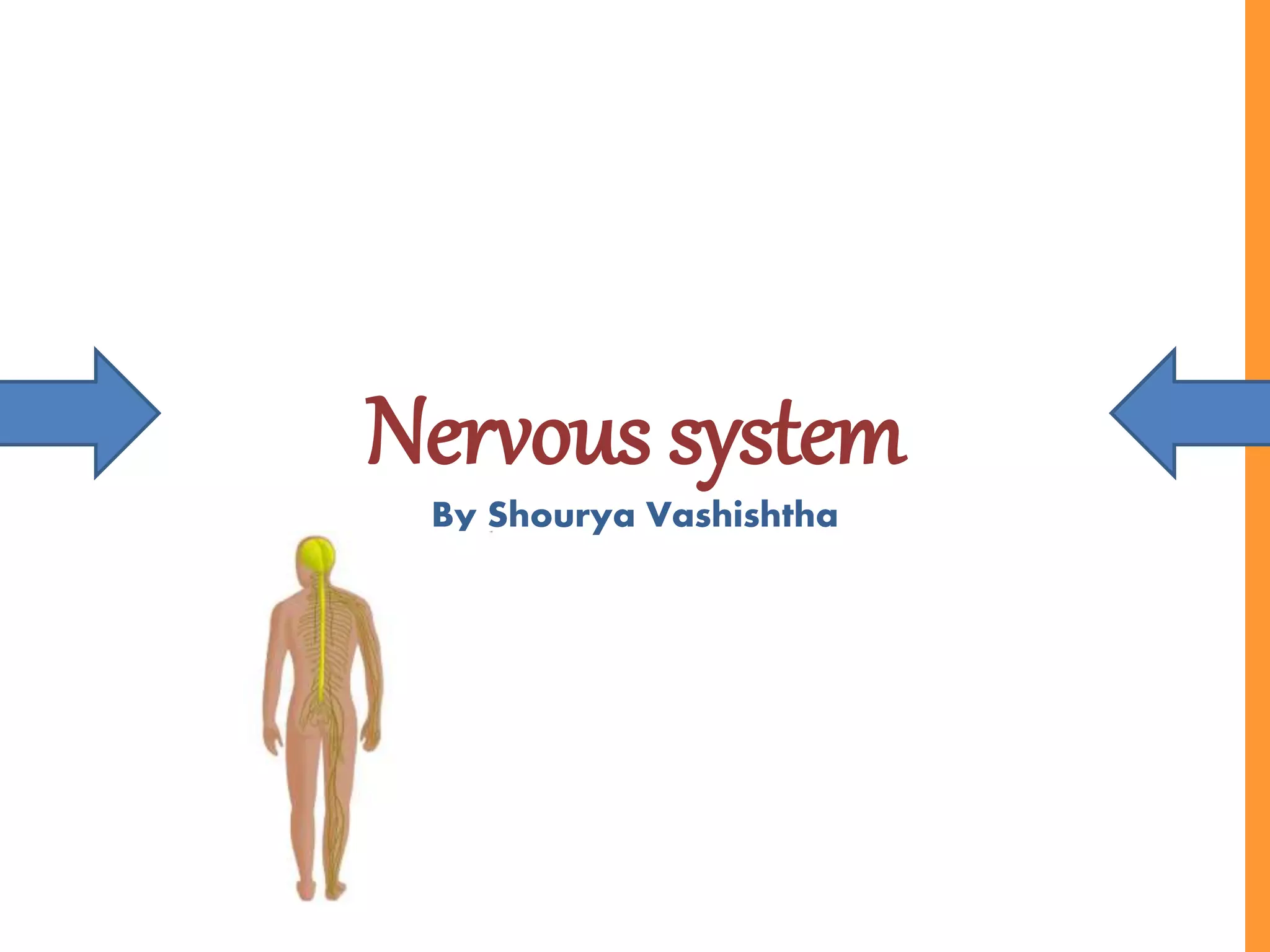 Nervous system | PPTX