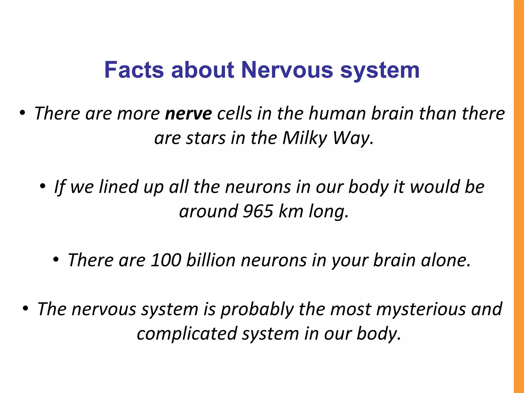 Nervous system | PPTX