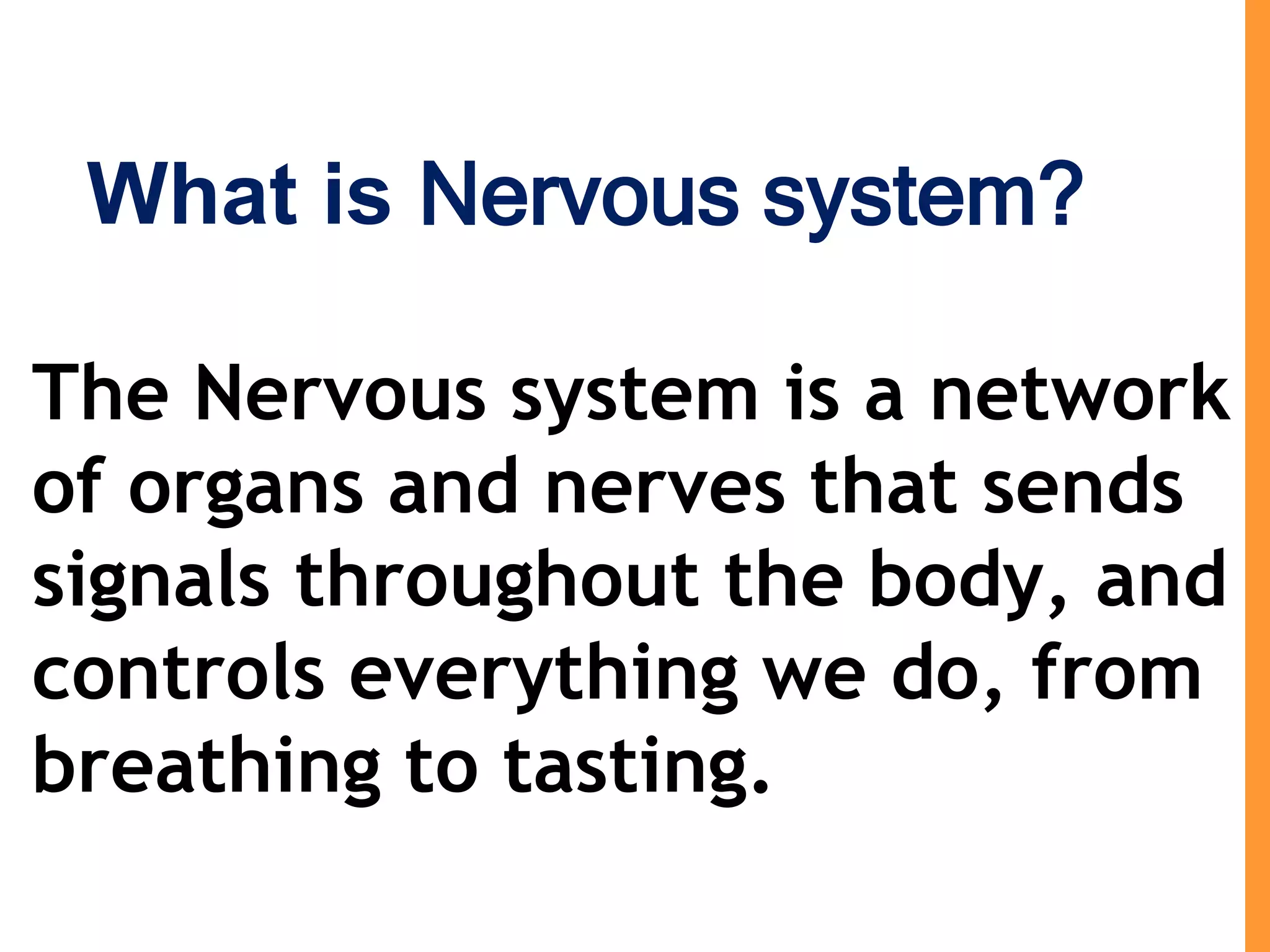 Nervous system | PPTX
