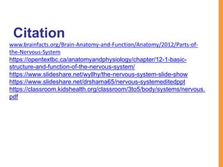 Nervous system | PPTX