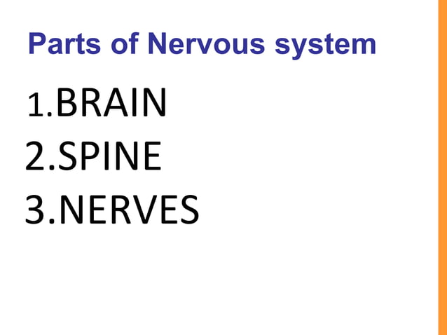 Nervous system | PPTX