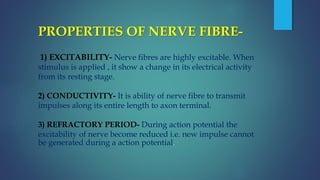 Nervous system | PPTX