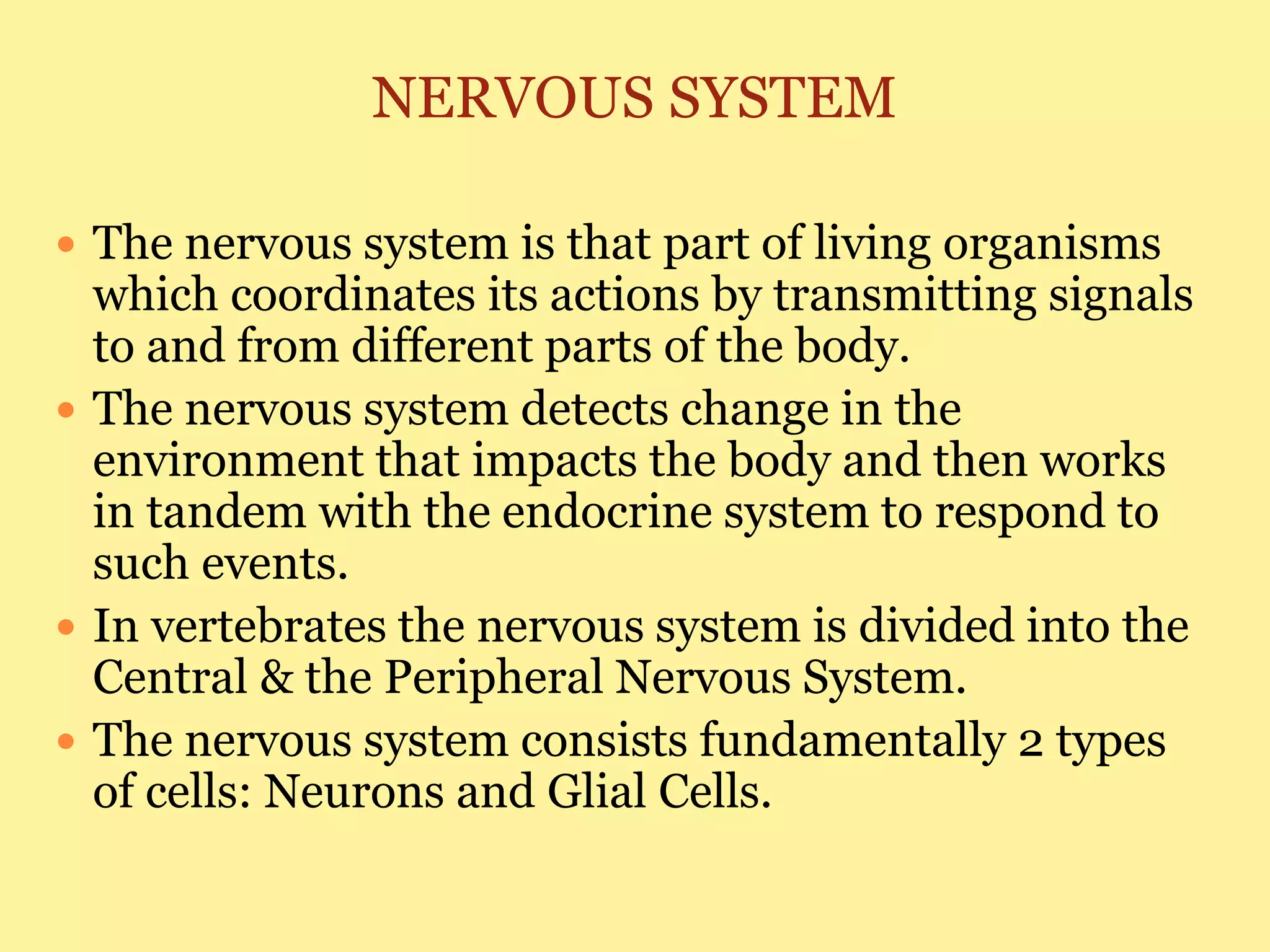 Nervous system | PPT