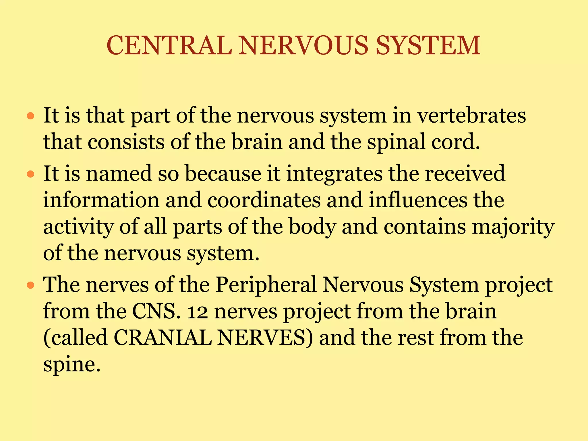 Nervous system | PPT