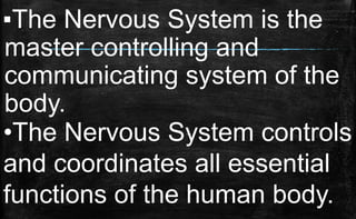 Nervous system | PPTX