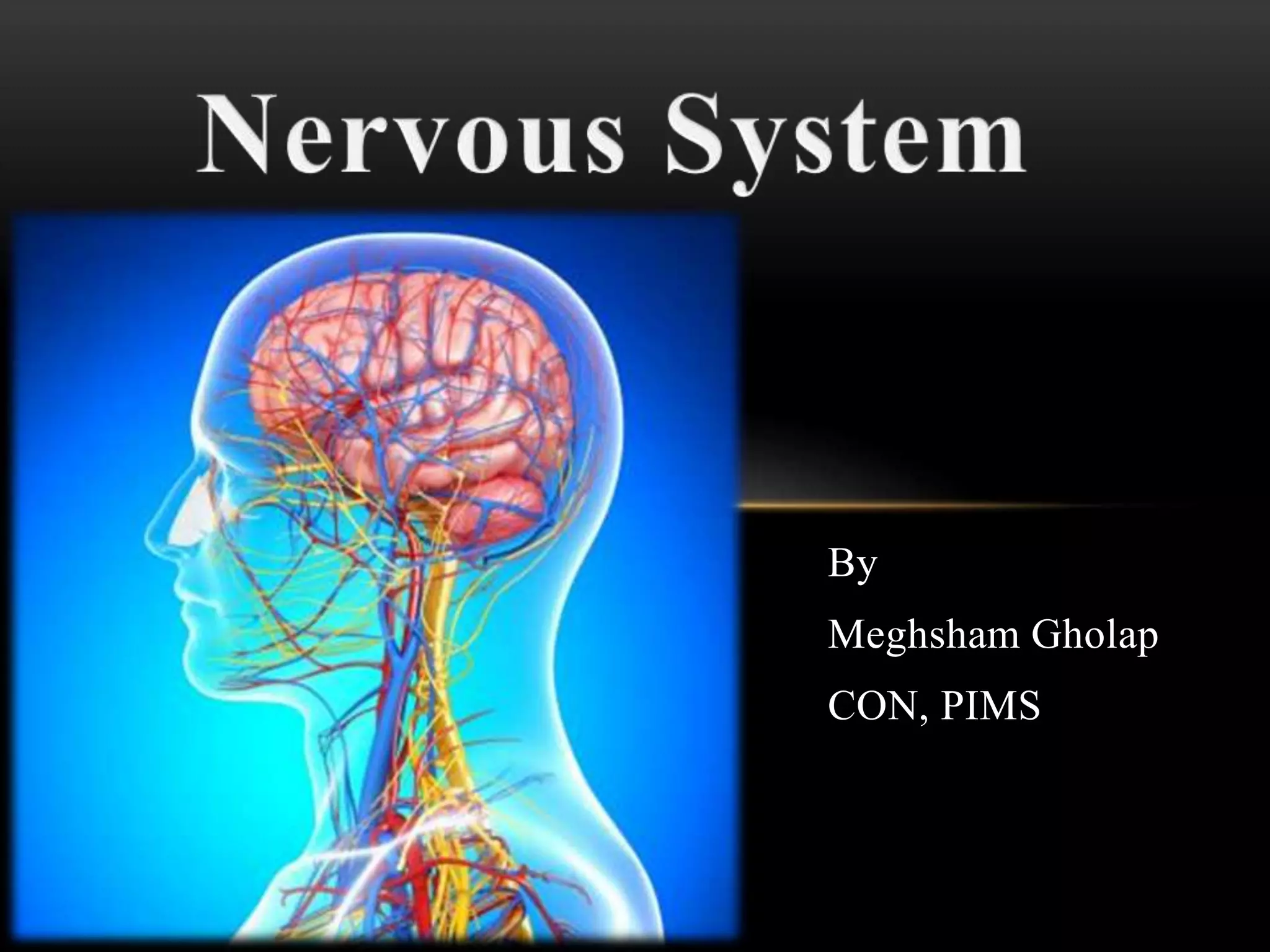 Central Nervous system of human body | PPTX