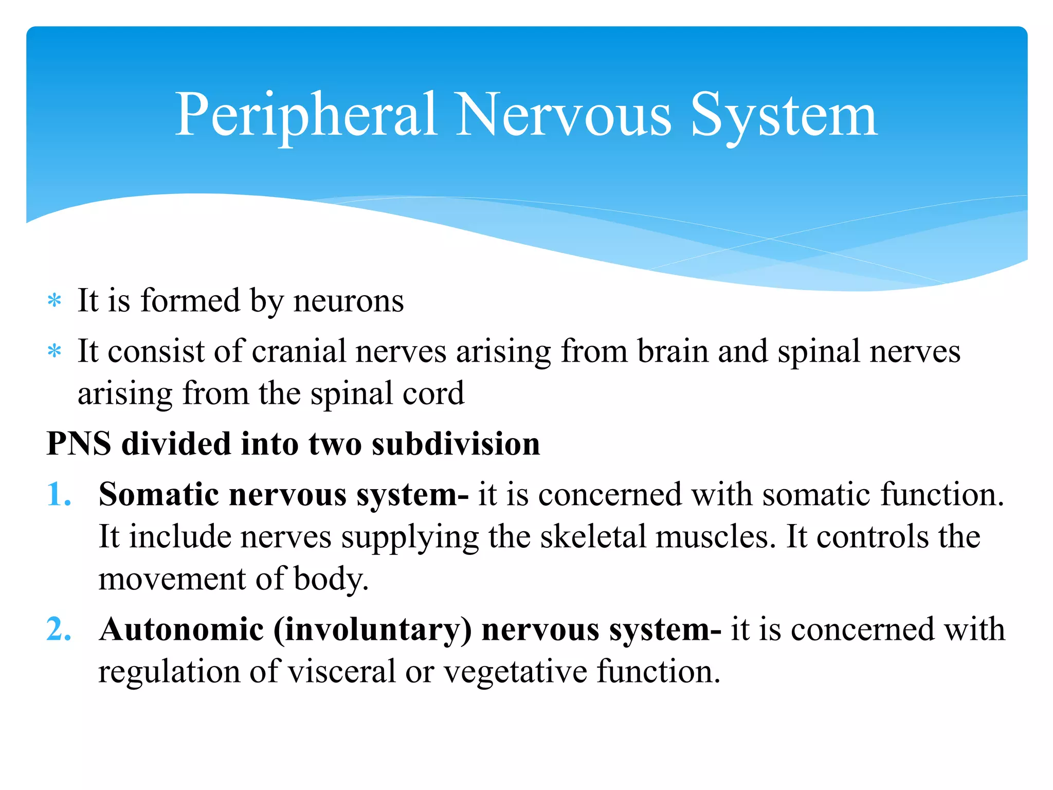 Central Nervous system of human body | PPTX