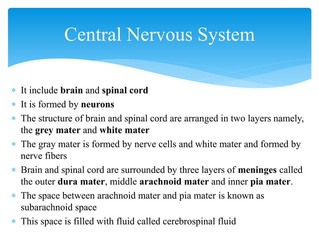Central Nervous system of human body | PPTX | Brain and Nervous System ...