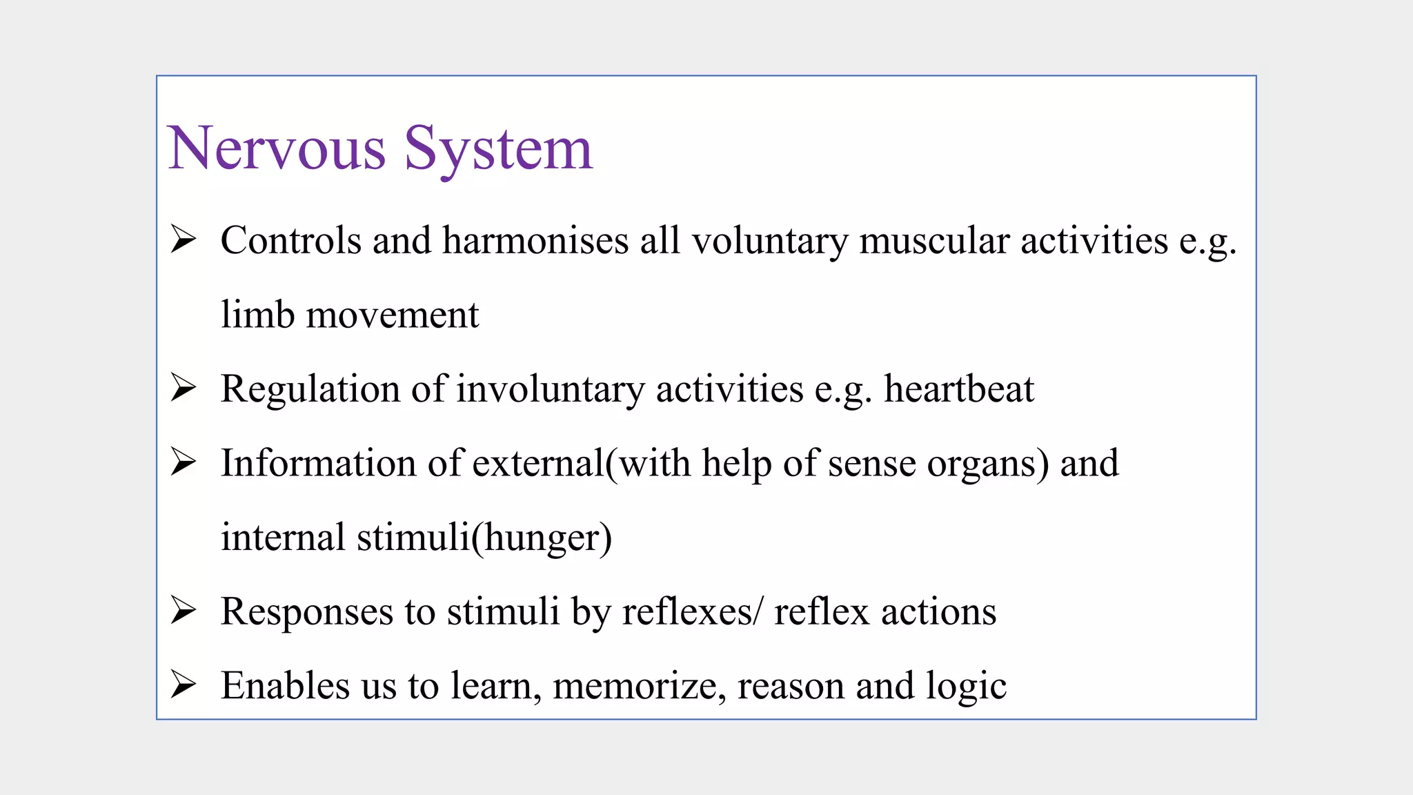 Nervous system | PPT
