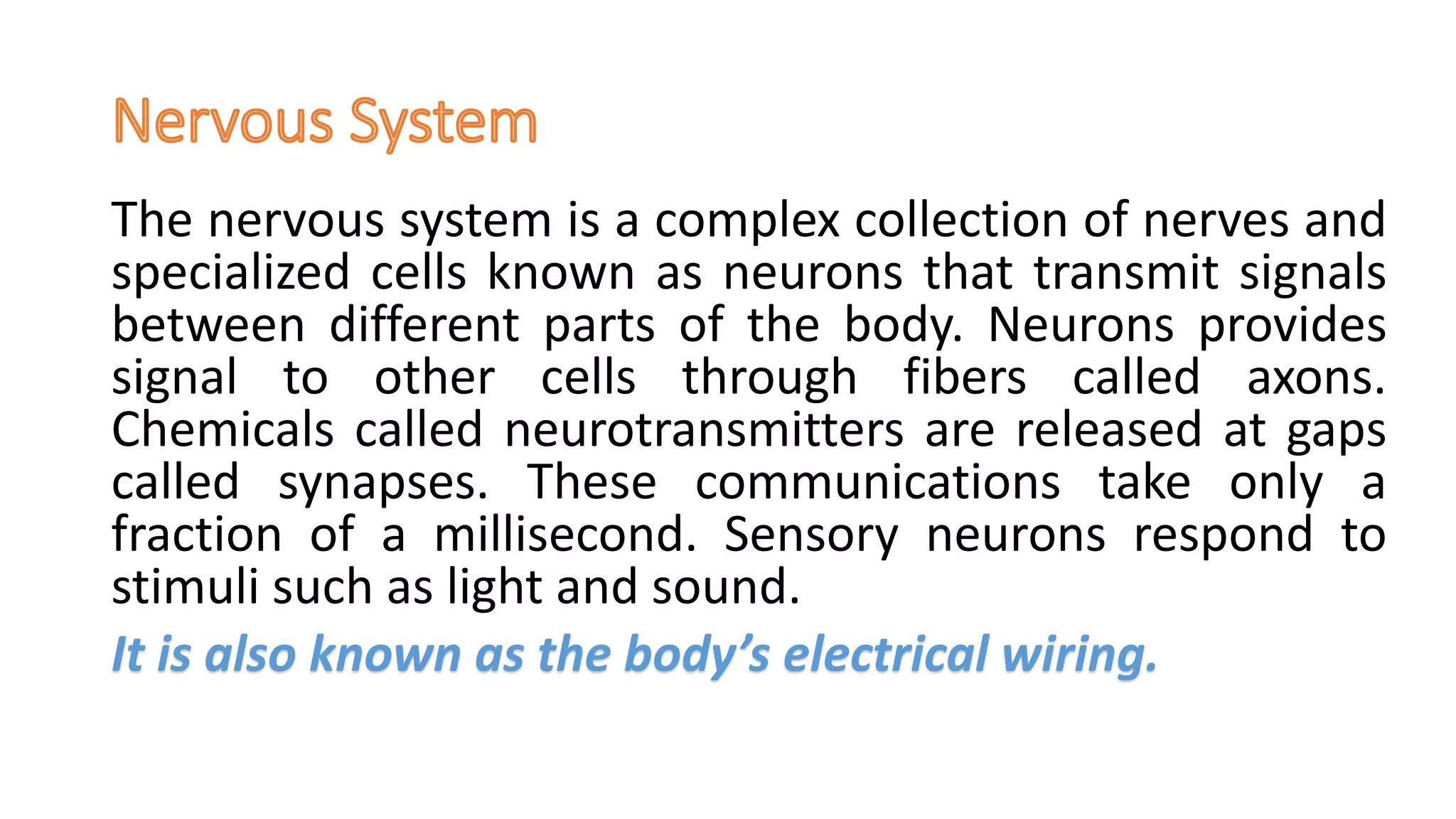 Nervous system | PPT