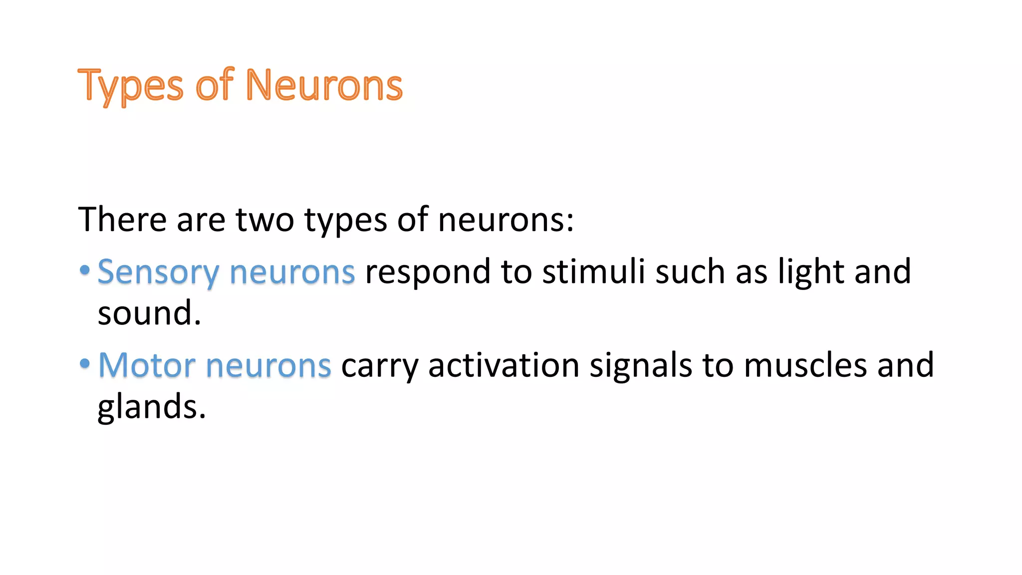 Nervous system | PPT