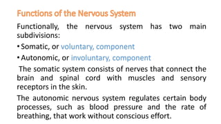 Nervous system | PPTX