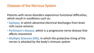 Nervous system | PPT