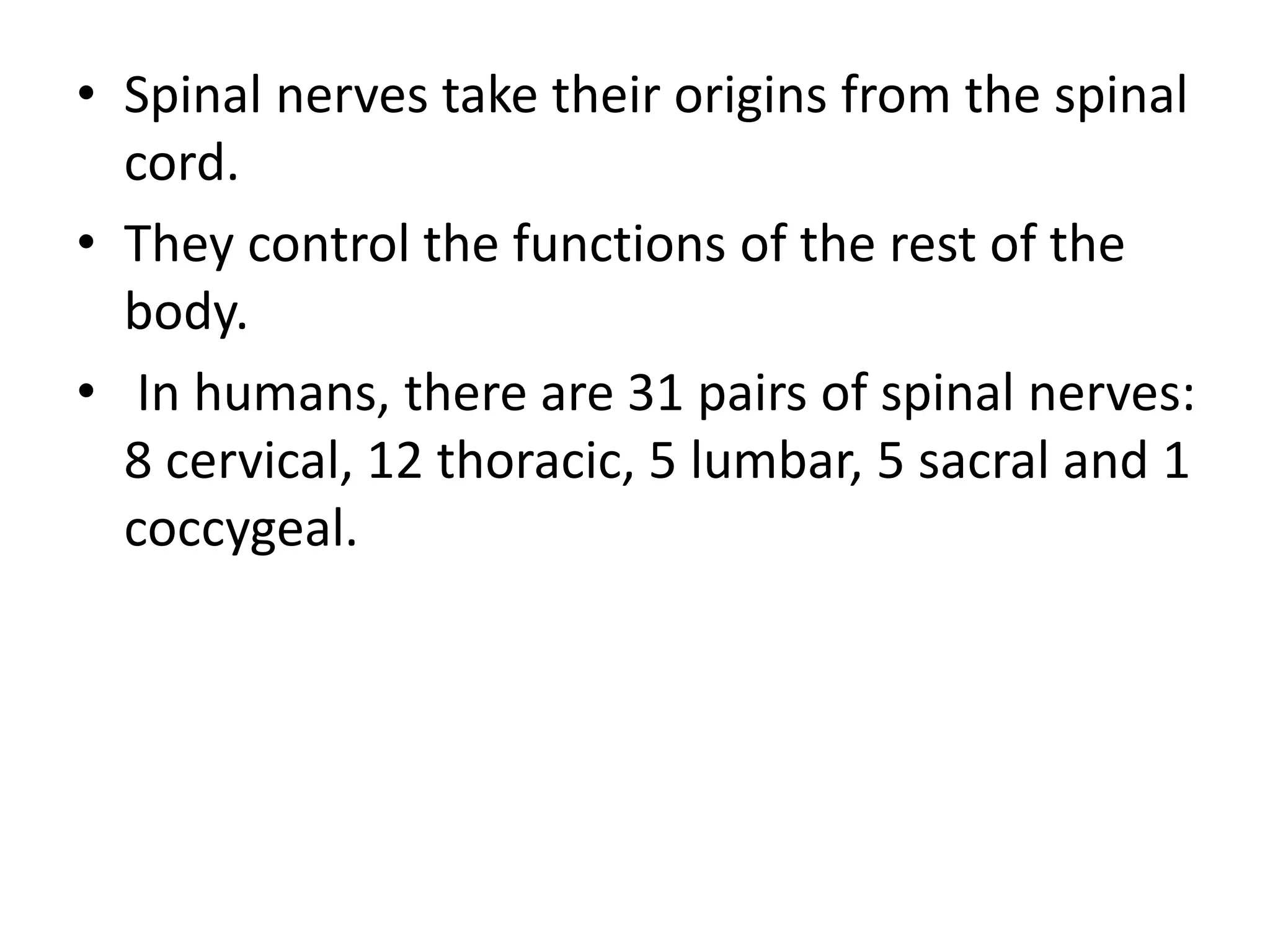 Nervous system | PPT