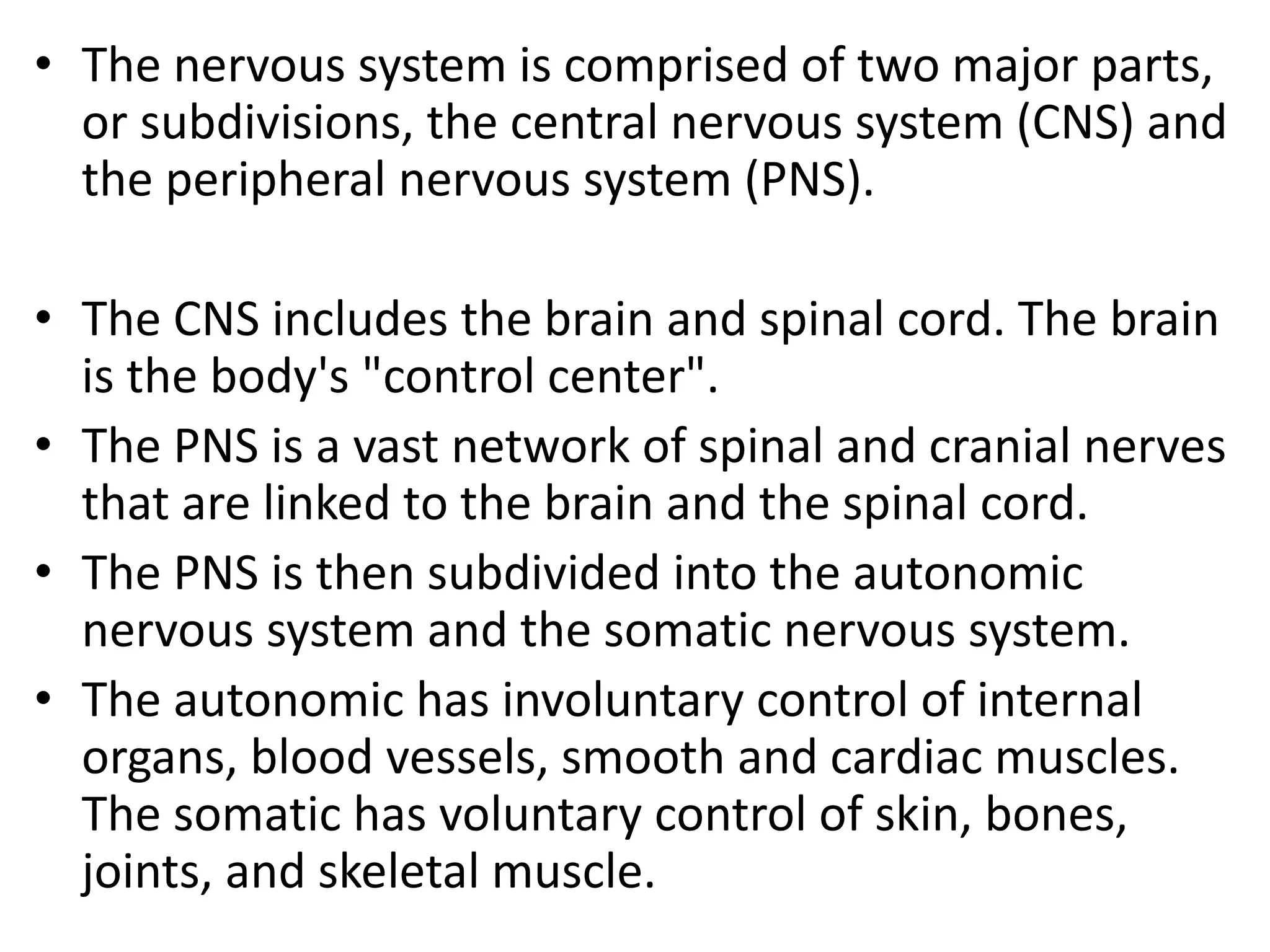 Nervous system | PPT