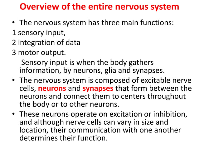 Nervous system | PPT