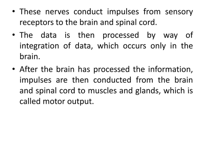 Nervous system | PPT