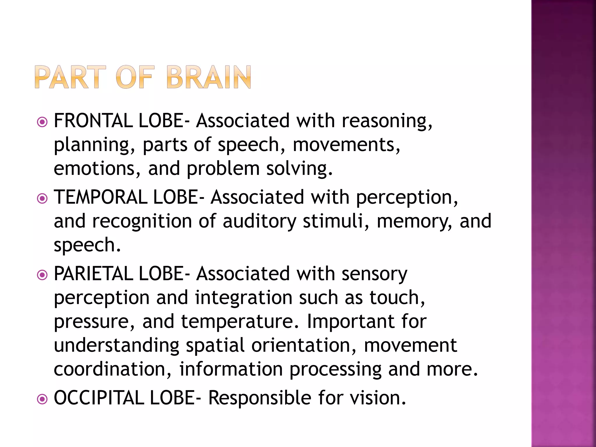Nervous system | PPTX