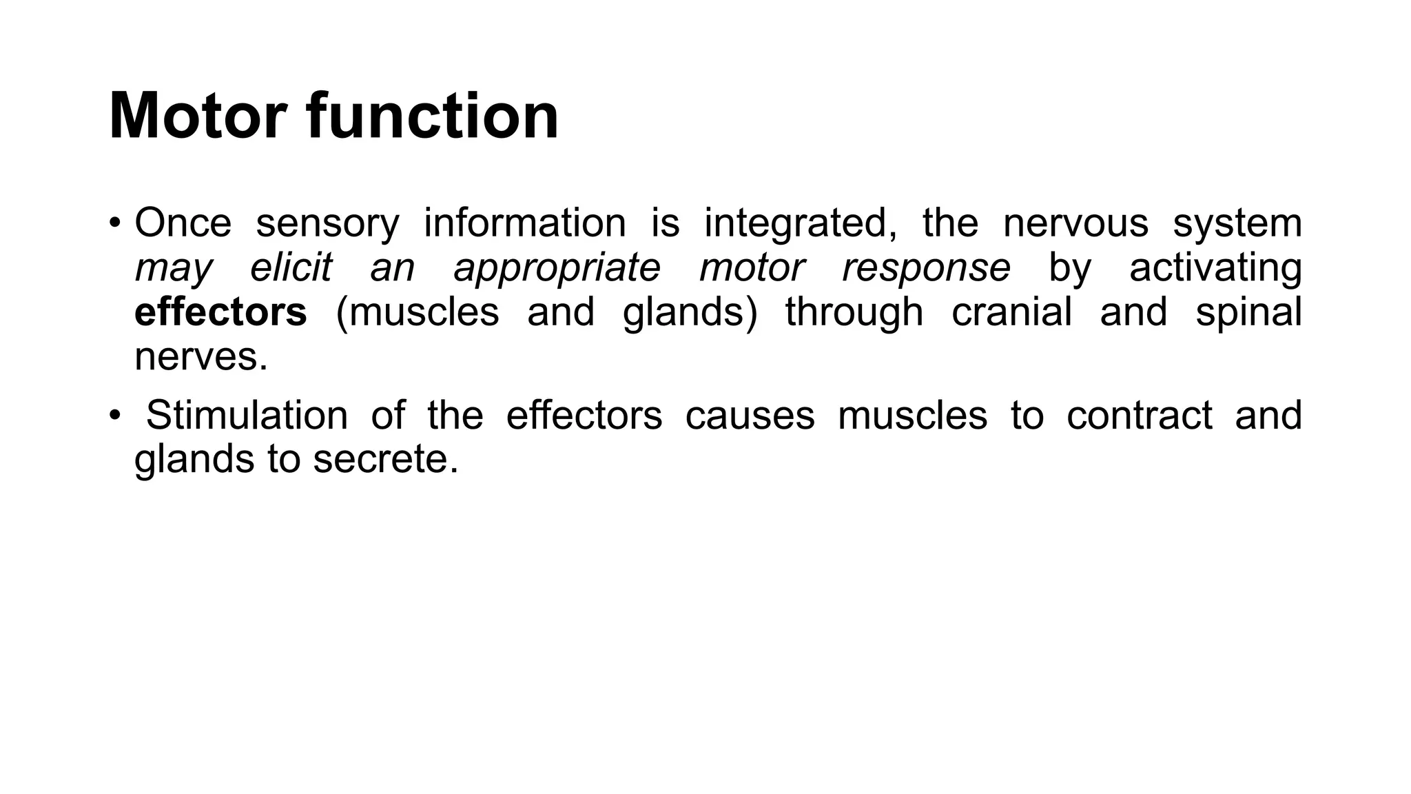 Nervous system | PPTX