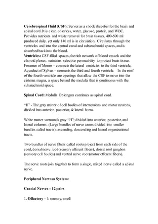 Nervous system | DOCX