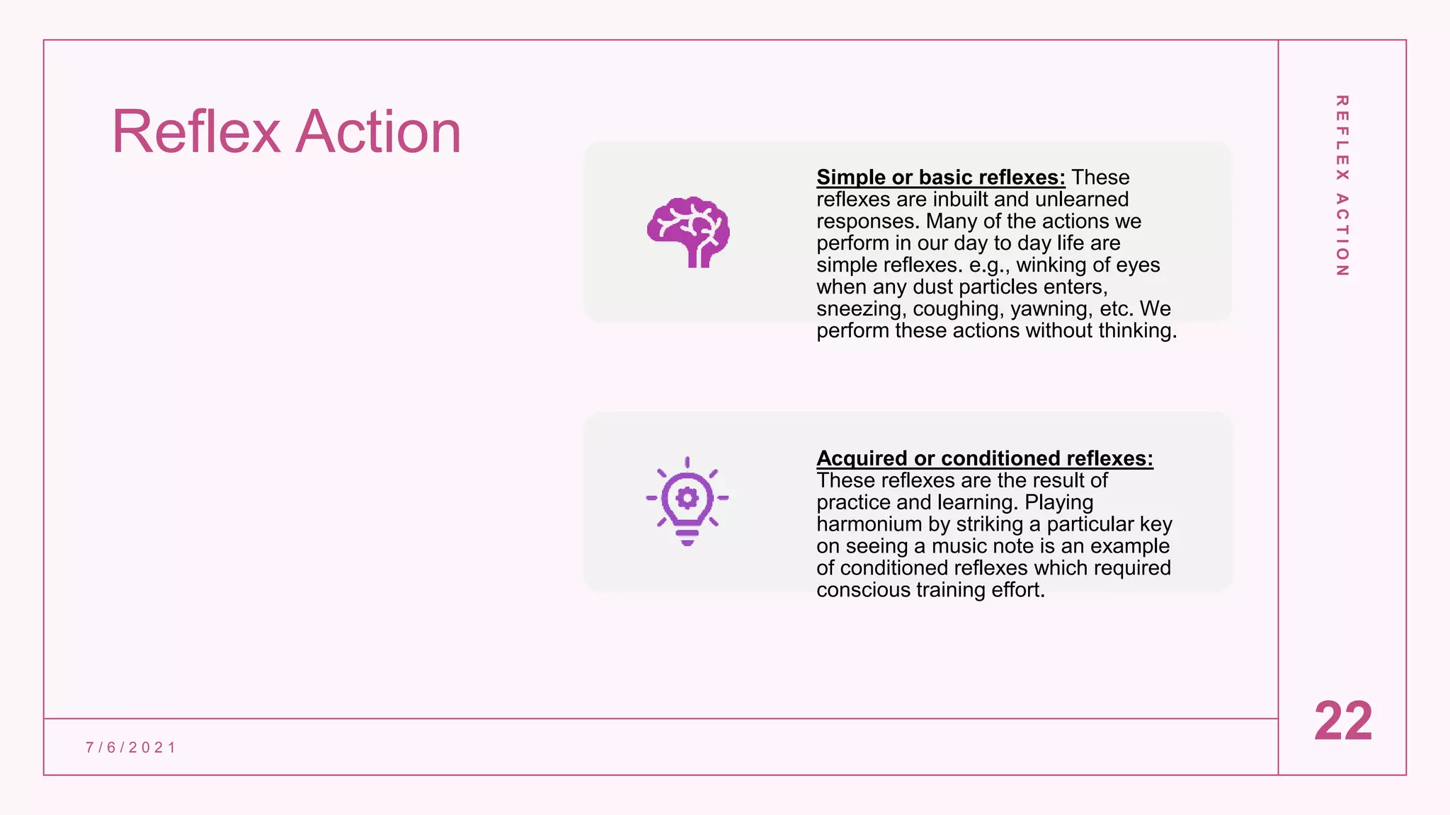 Nervous system | PPTX