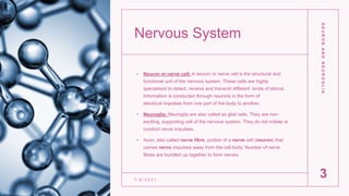 Nervous system | PPTX