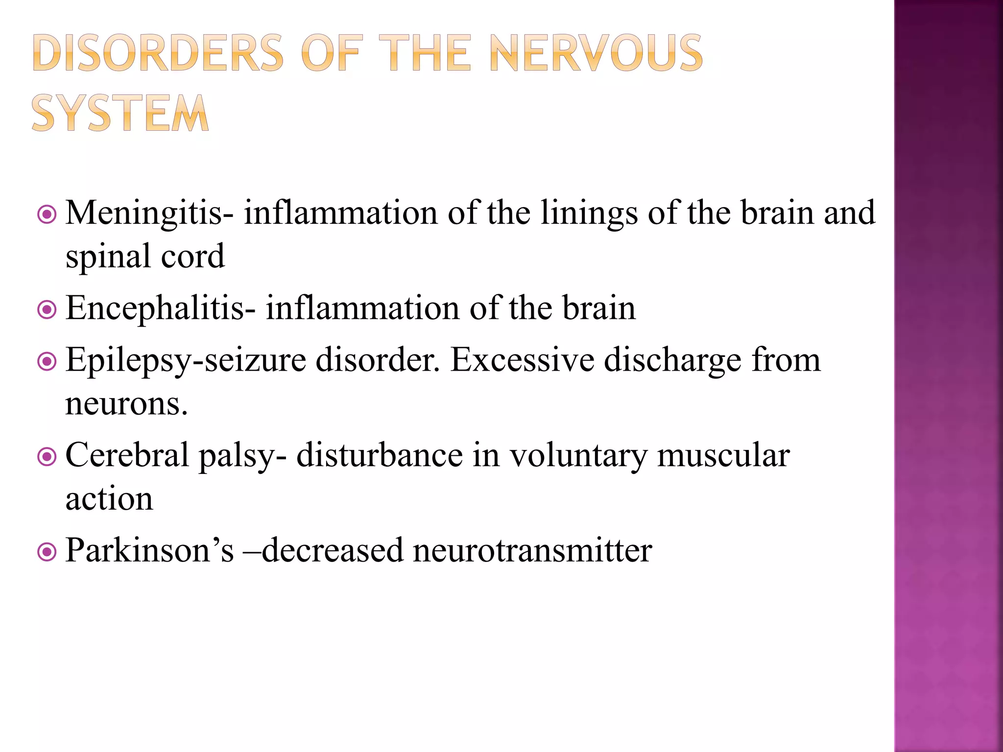 Nervous system | PPT