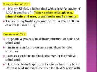 Nervous system | PPT