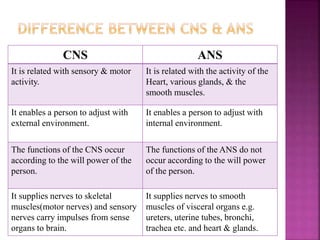 Nervous system | PPT