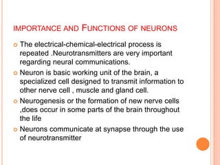 Nervous system | PPT