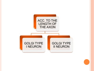 Nervous system | PPT