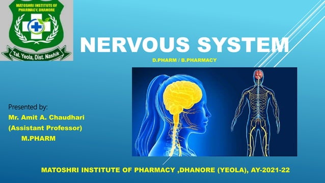 Central Nervous System | PPT