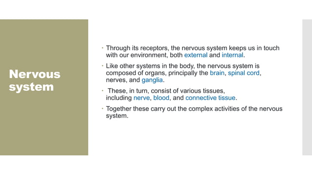 Nervous system.pptx