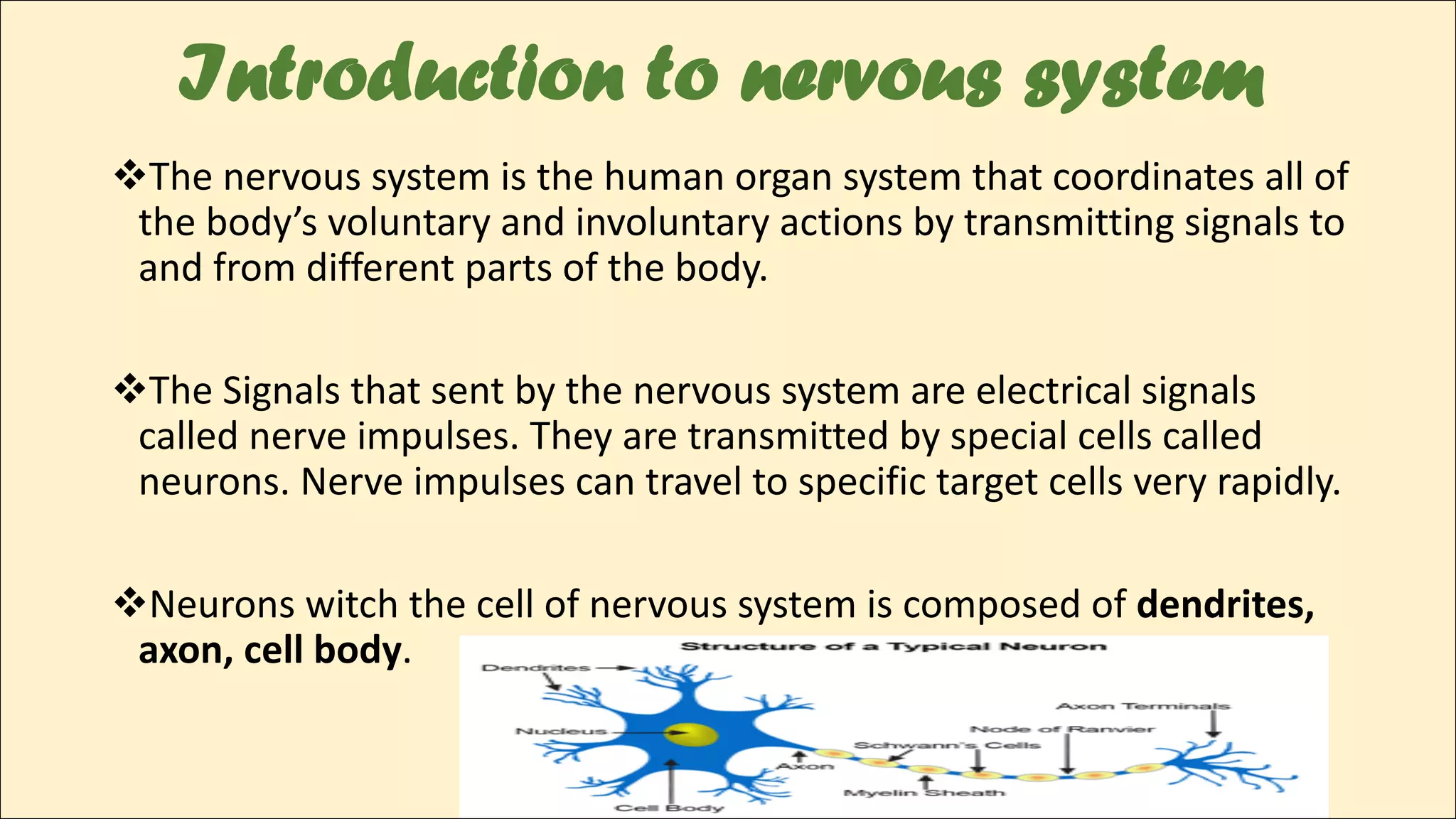 Nervous system.pdf | Brain and Nervous System Disorders | Diseases and ...