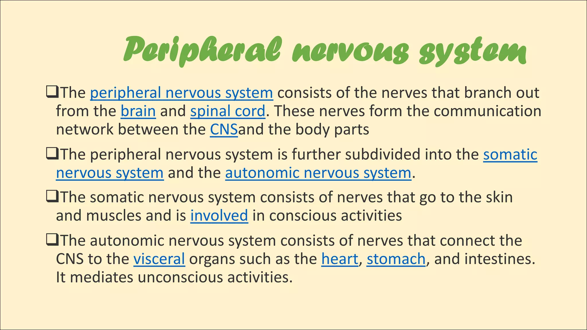 Nervous system.pdf | Brain and Nervous System Disorders | Diseases and ...
