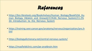 Nervous system.pdf | Brain and Nervous System Disorders | Diseases and ...