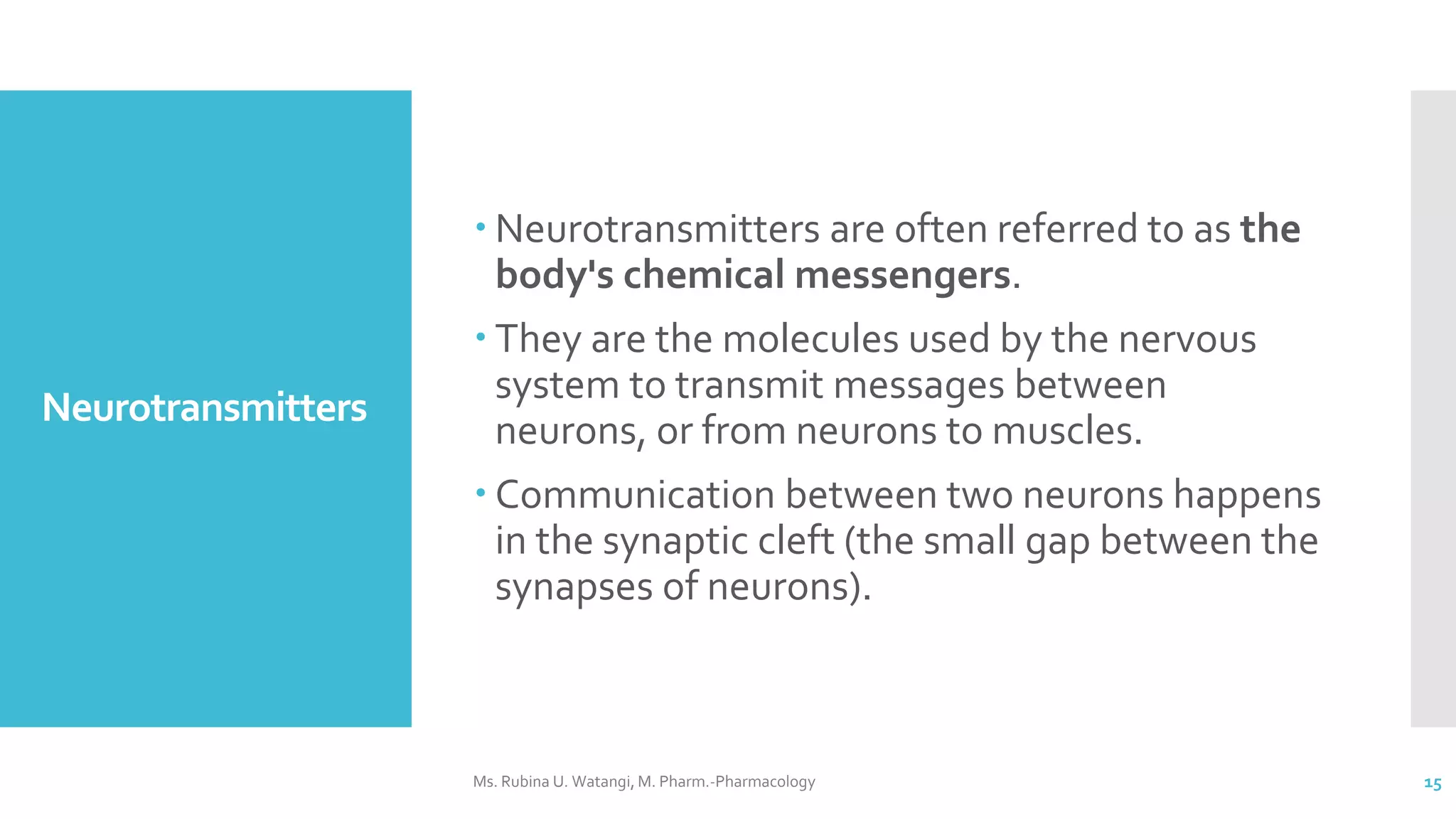 Nervous System.pptx